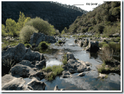 A. M. A. R. C.: Conhecer MONTALVÃO